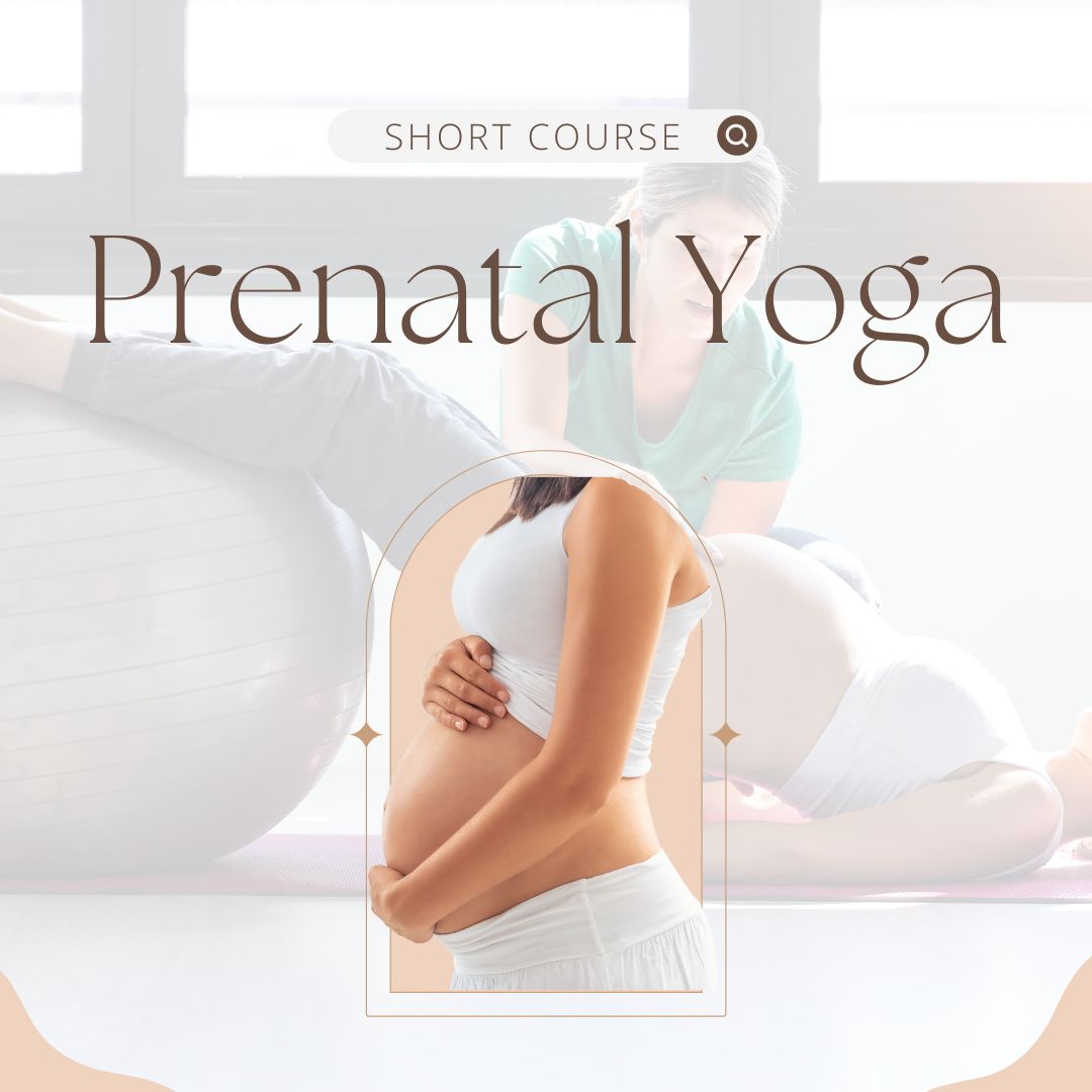Prenatal Yoga 20 HR Course (YACEP) - Yogamu